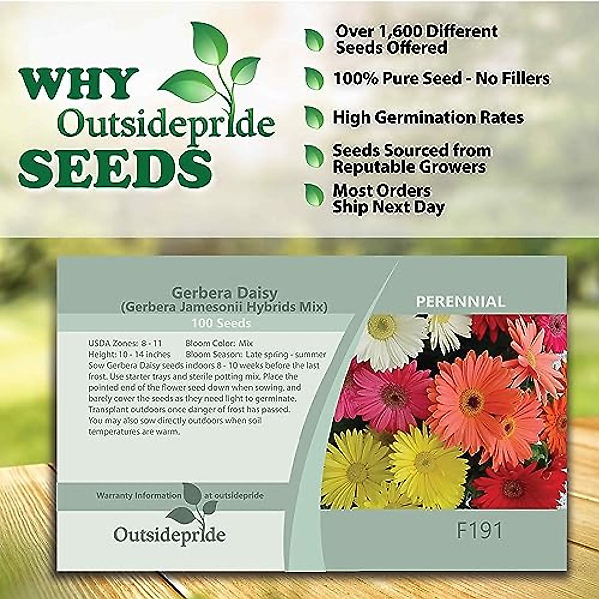 Outsidepride Gerbera Daisy Indoor House Plant or Flower Mix for Outdoor Containers, Pots, Planters, Beds - 100 Seeds
