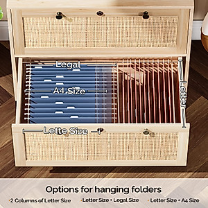 VINGLI Wood Rattan 2-Drawer Lateral File Cabinet with Lock for Home Office, Lockable Filing Cabinet with Rustic Metal Handles for Hanging Letter/A4/Legal Size Labeled Folders, Oak, 30W x 16D x 28H
