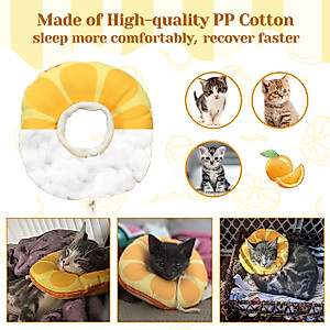 Jevnd Kitten Cones After Surgery 0-6 Months, Donut Extra Small Kitten Cone Collar Soft to Stop Licking Neck, Elizabethan Kitten e Collar for Recovery, xs Small Cat Cone Spray, Pet Soft Cone for Cats