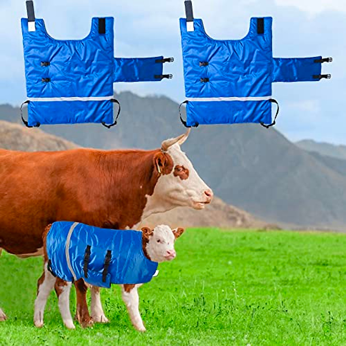 2 Packs Calf Blanket Livestock, Calf Blanket for Cold Weather Windproof and Waterproof, Calf Blanket Winter for Keeping Cow Warmming Thickened Belly Protection Blue