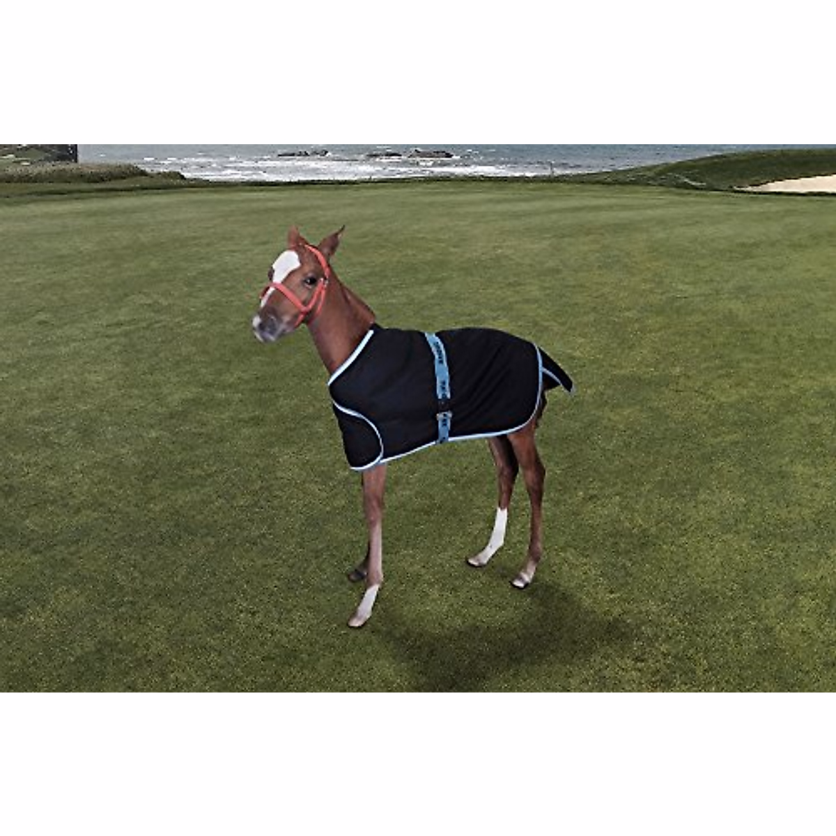 TuffRider 1200D Ripstop Foal Adjustable Turnout Bl