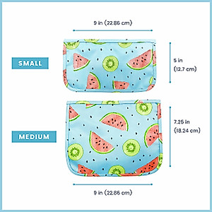 EzPacking Clear Zipper Pouches (Set of 2) / Transparent Reusable PVC Organizers for Women’s Purse or Tote Bag/Cute Slim Flat Japanese Style Watermelon Cactus Pencil Pouch for Travel (Watermelon)