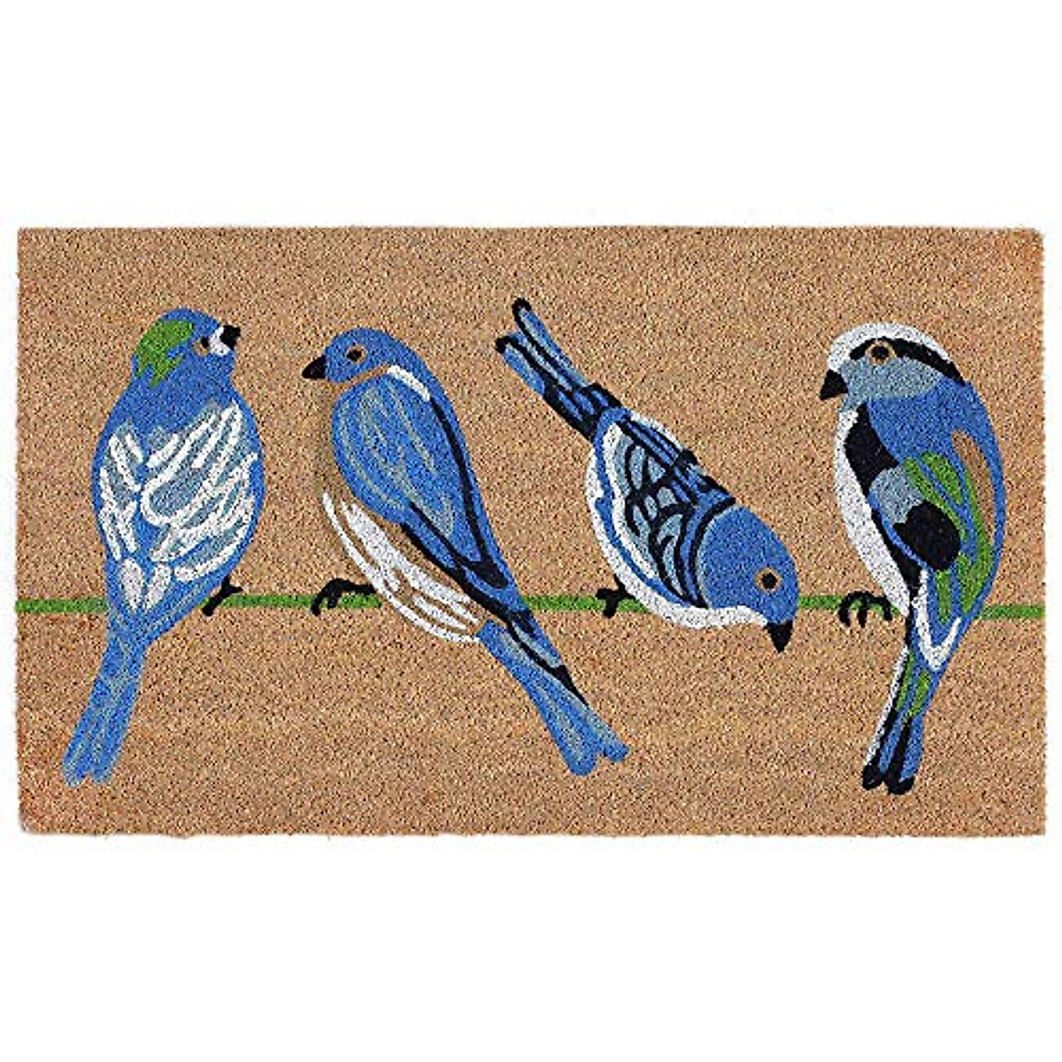 Liora Manne Natura Doormat Non-Slip Natural Fiber Outdoor Mat-Animal, Blue Birds Natural 2' x 3'