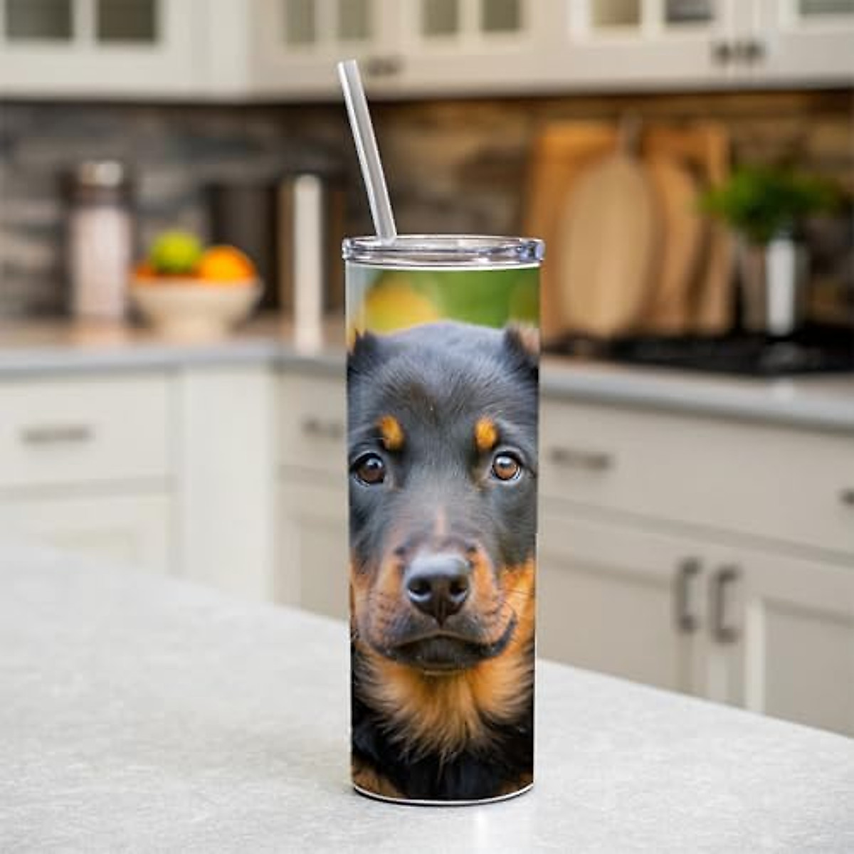 Beauceron Dog Puppy Photo Skinny Tumbler 20oz with Straw Insulated Water Bottle Gift