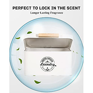 Dryer Sheet Holder with Hinged Lid for Laundry Room Organization. Metal Dryer Sheet Dispenser Container, Farmhouse Laundry Room Decor and Accessories for Dryer Sheets Holder, Cream