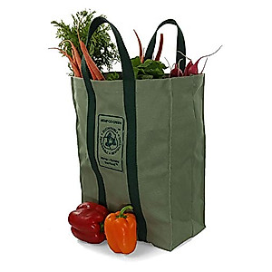 Hemp Go Green 100% Hemp Canvas Washable Heavy Duty Reusable Shopping Bag