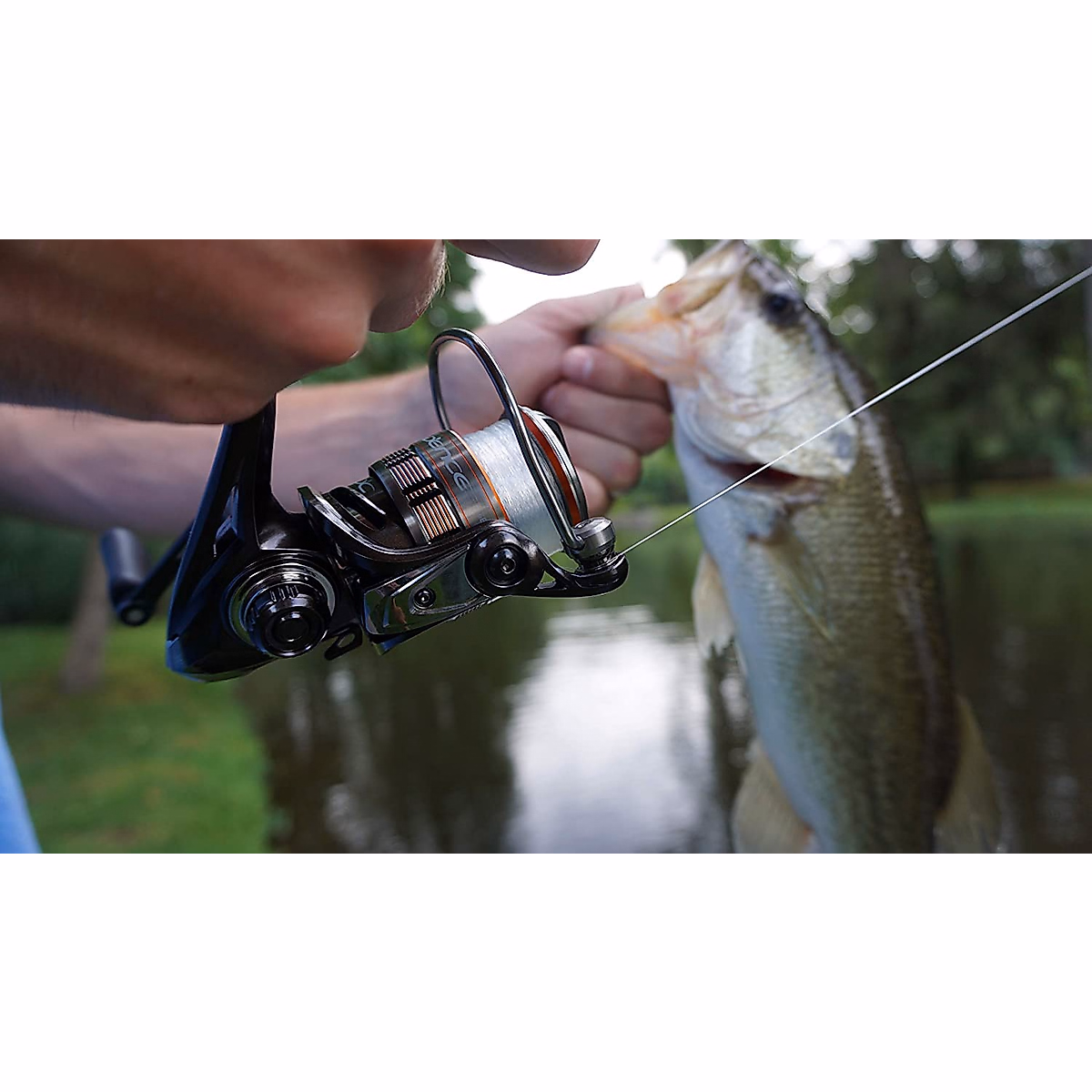 Cadence Spinning Reel-Elate 10+1 BB Light Weight & Durable -Stainless Steel Main Shaft, Die-Casting Handle&Double Anodized Spool-Ultra Smooth Powerful Reel with Graphite Body &Felt Washer