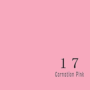 Huamei Seamless Photography Background Paper, Photo Backdrop Paper (8.9x36 Feet, #17 Carnation Pink)