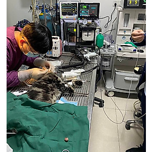 Veterinary Equiment Vet Patient Monitor Multiparameter ICU Machine, ECG, Blood Oxygen, Blood Pressure, Respiratory Rate, Body Temperature, Heart Rate Veterinärmonitor for Dog, Cat and Animal