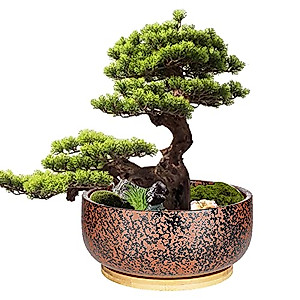 G EPGardening 8 Inch Terracotta Succulent Planter Pot with Drainage Hole Round Shallow Bonsai Planter Pot with Bamboo Saucer Flower Pot for Indoor Plants Black