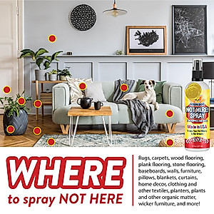 Bodhi Dog House Breaking Spray 8oz + Not Here Spray 8oz Bundle