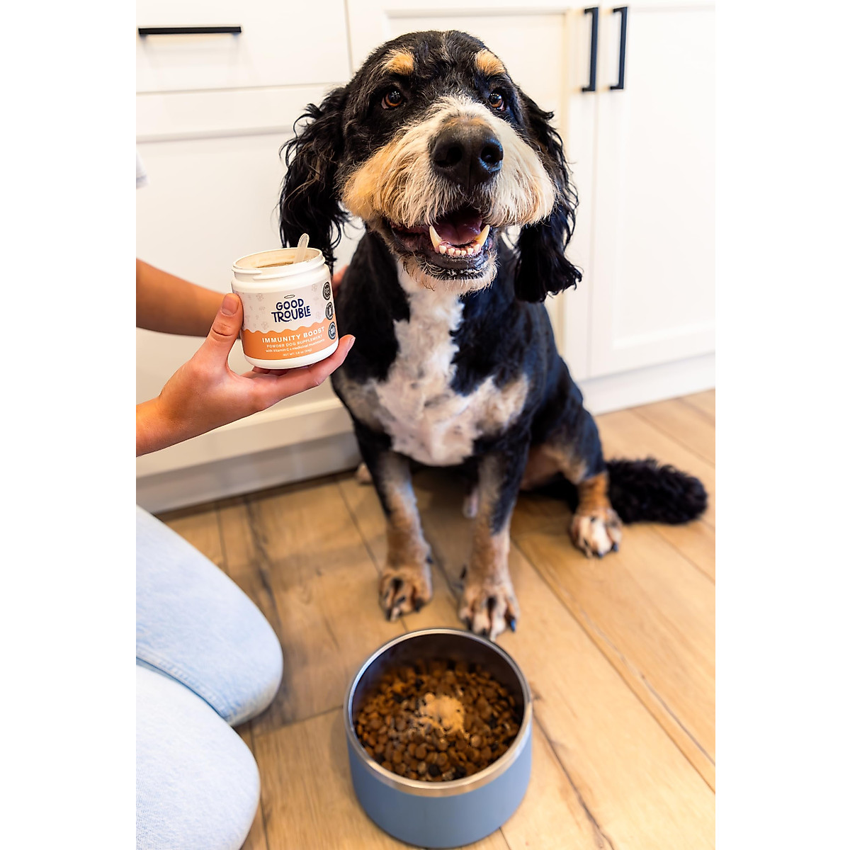 Dog Immunity Boost Powder by Good Trouble Pets - Immunity & Allergy Supplement with Turkey Tail Mushroom Powder for Dogs and Puppies, Critical Immune Defense for Small and Large Breeds (1.9 oz, Beef)