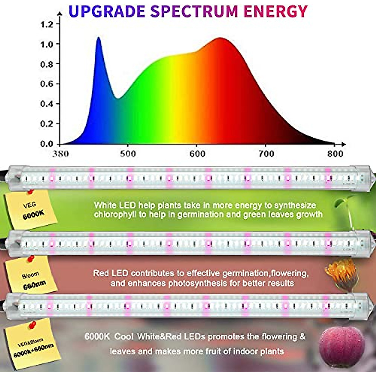 White Grow Light Strips for Indoor Plants, Moya Std 16in 6000K T5 Plant Light Full Spectrum Cabinet Grow Lamp with 240 White & Red LEDs, Auto ON/Off 3/6/12h Timer & 5 Brightness for Houseplants