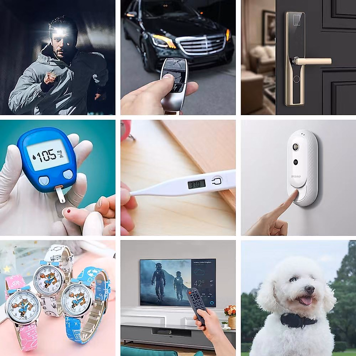 PGSONIC CR2450 3V Lithium Battery (5pcs)