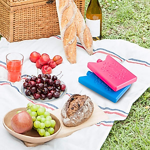 ViLoSa Ice Packs Lunch Box and Cooler Reusable ice Pack Kids Keeps Food Cool Longer time Large ice Pack- Durable - Perfect Size - No Leaks - No Smells - 4-Pack