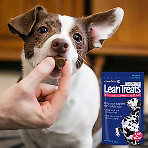 Covetrus Nutrisential Lean Treats for Dogs - Soft Dog Treats for Small, Medium & Large Dogs - Nutritional Low Fat Bite Size K9 Treats - Chicken Flavor - 10 Pack - 4oz