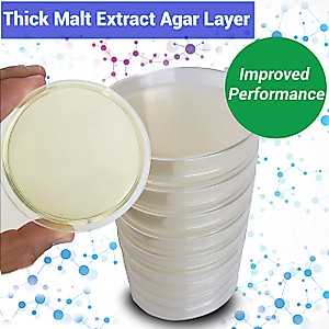 Malt Extract Agar Plates - Evviva Sciences - Great for Mushrooms, Molds, Fungus - 10 Prepoured MEA Petri Dishes - Also Great for Science Fair Projects!
