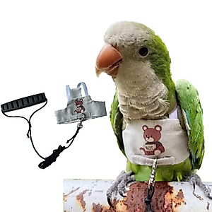Bird Flight Harness Vest, Parrot Flight Suit with Leash for Parakeets Cockatiels, Bird Flying Clothes with Rope and Handle for Outdoor Activities Training (Bear with Leash,Medium)