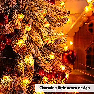 Mudder Acorn Valentine's Day Heart String Lights Decor 16.4FT 50 LEDs Heart Fairy Light Battery and USB Powered with Remote for Indoor Outdoor Wedding Party(Acorn,White)