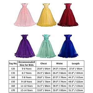 Girls Lace Pageant Party Dress Wedding Flower Girl Maxi Gowns Flower A Line Birthday Dance Evening Tulle Floor Length Skirt Hot Pink 6-7 Years