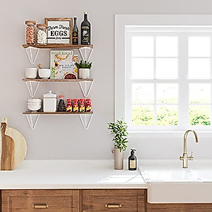 Wallniture Colmar Floating Shelves for Wall Decor, Wall Bookshelf Living Room Decor Bathroom Organizer Wall Shelves for Bedroom & Kitchen Organization Burnt 24" Set of 3