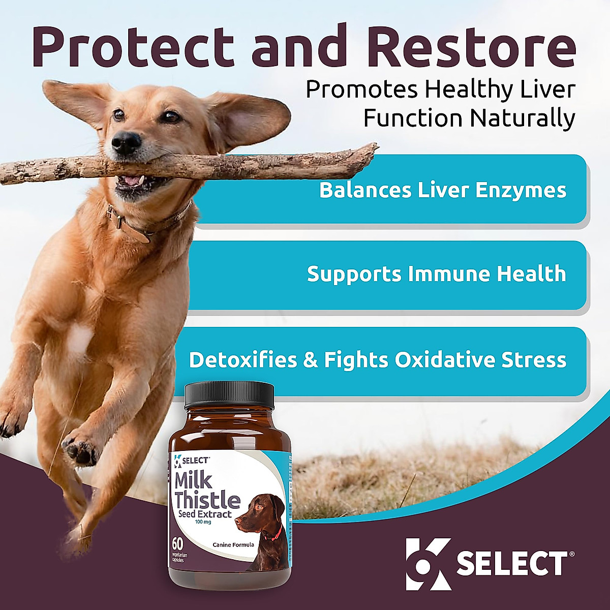 K9 Select Milk Thistle for Dogs, 100mg - 60 Vegetable Capsules - Canine Liver Health Milk Thistle Supplement - Liver Supplement - Liver Support Supplement - Milk Thistle Herbal Supplements