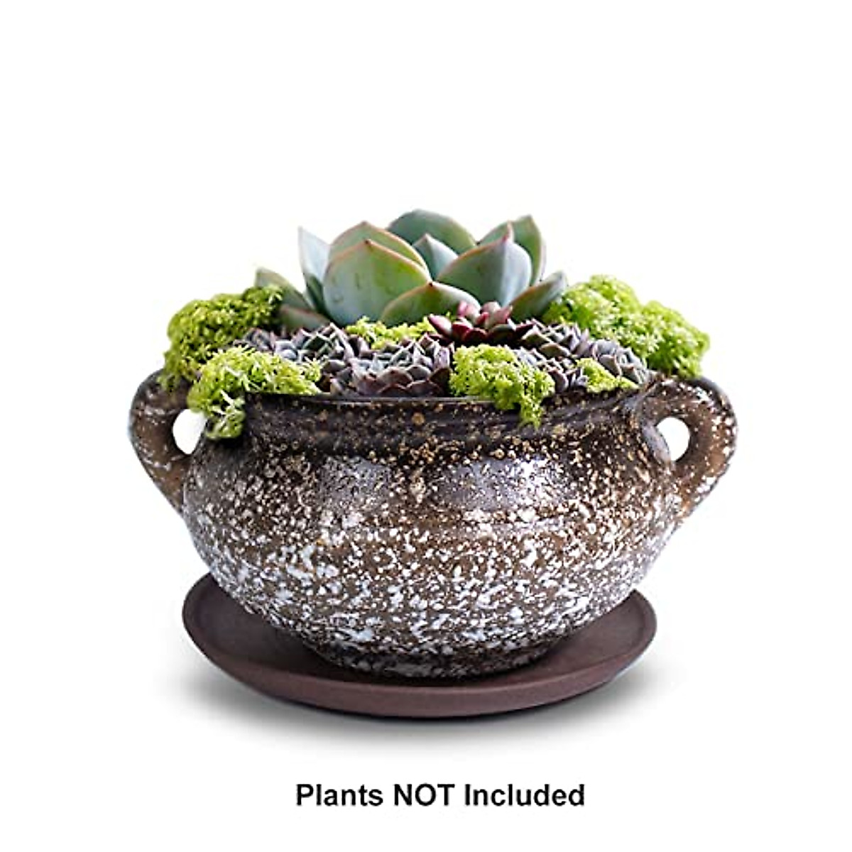 Dahlia Vintage Speckle Ceramic Succulent Planter/Plant Pot/Flower Pot/Bonsai Pot, C