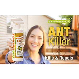 EcoVenger Ant Killer & Crawling Insect Killer (Citrus Scent) 16 oz x2, Kills Fast in Minutes, Also Kills Spiders, Centipedes & More, Repels with Residual, Natural & Non-Toxic, Safe for Children & Pets