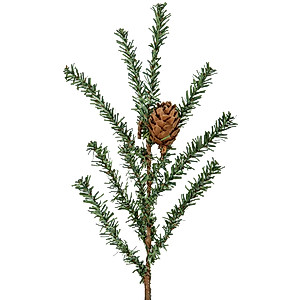 Vickerman 1.5 foot tall Caramel Pine Artificial Christmas Tree Unlit, Seasonal Indoor Home Decor with Decorative Burlap Base - Featuring Decorative Pine Cones