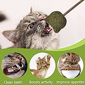 (12Pack) Catnip Toys, Silvervine Cat Toy, Cat Toys for Indoor Cats, Silvervine Sticks,Catnip Balls, Cat Nip Mice,Silver Vine Organic Chew Toys, Kitten Teething Toys,Interactive Plush Feather Kicker