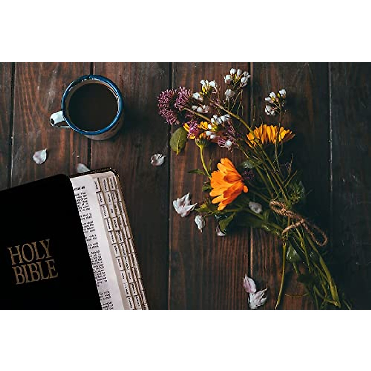 Tabbies Mini Gold-Edged Bible Indexing Tabs, Old & New Testament, 80 Tabs Including 64 Books & 16 Re