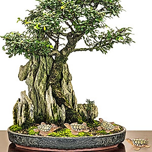 15 Pcs Miniature Sea Turtles Sea Turtle Figures Ocean Animal Figurines Mini Turtle Figurines for DIY Home Fairy Garden Office Fish Tank Birthday Party Favor Decorations