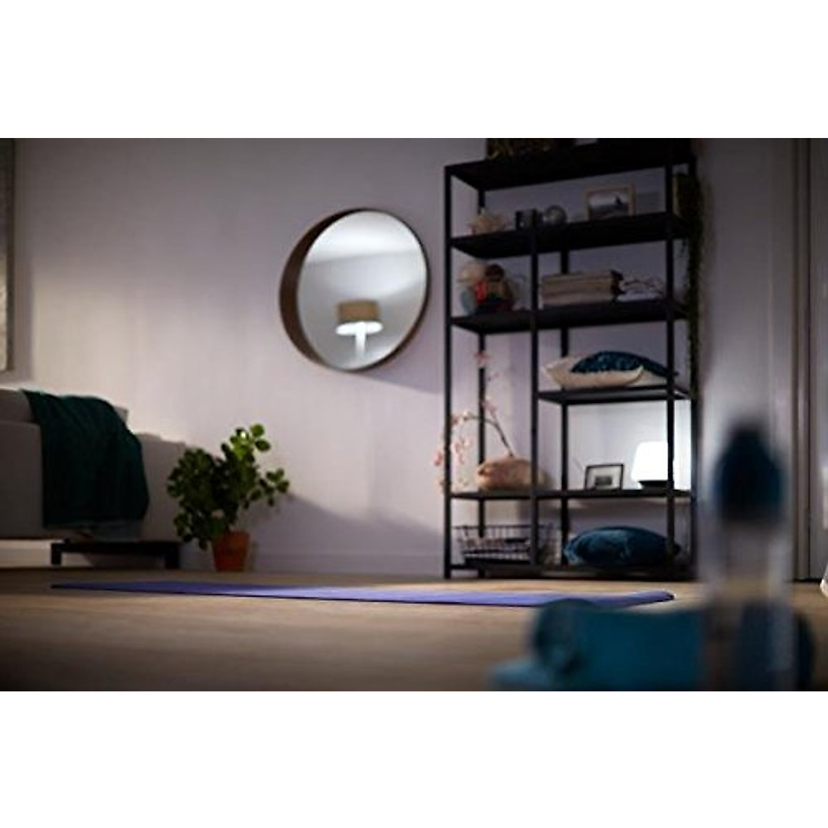 Philips 462168 LED Bulb 8 Pack 60 Watt Equivalent, Daylight (5000K) A19 Non Dimmable, Medium Screw Base