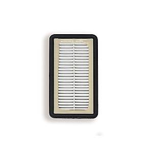 Lemige 2 + 2 Pack 1008 Vacuum Filters for Bissell CleanView 1819, 1822, 1825, 1831, 1330, 1332，9595A Vacuums Replacement Filters Kit, Compare to Part # 2032663 & 1601502