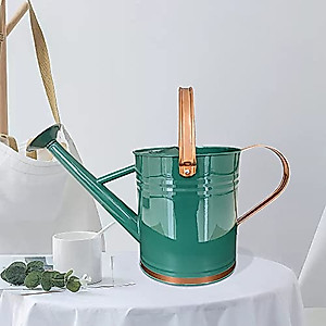 Metal Watering Can for Outdoor and Indoor Plants, Watering Can Decor, 1 Gallon (1 Gallon Green2)