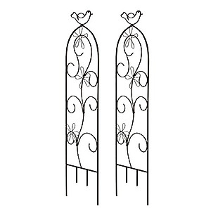 Hosley Set of 2 Iron Wave Pot Trellis 28 Inch High. Ideal Gift for Wedding or Party and Use Next to Structures Home or Office or in Planters for Growing Floral Plants Vines and Vegetables O4