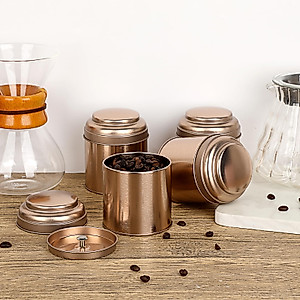 JUXYES Pack of 6 Tea Tins Canister with Airtight Double Lids, 8 fl oz Loose Leaf Tea Storage Airtight Kitchen Canisters Tins Can Box for Storage Loose Tea Coffee Herbs and Spices