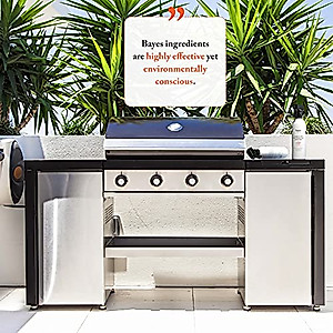 Bayes High-Performance Stainless Steel BBQ Exterior Cleaner and Protectant - Cleans, Shines and Protects Stainless Steel Barbecue Surfaces, Shields from Outdoor Elements - 16 oz