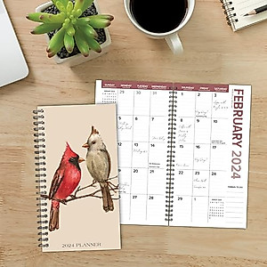 Willow Creek Press, Cardinals Weekly 2024 Pocket Planner Exclusive