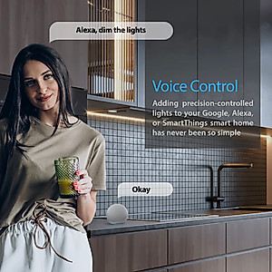 EShine 6 Pack 12 inch Black Smart Dimmable LED Under Cabinet Lighting Kit Compatible with Alexa, Google - Warm White (3000K)