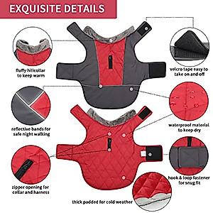 JOYPAWS Reversible Dog Coat, Windproof Waterproof Dog Jacket for Cold Weather, Warm Dog Winter Clothes Reflective Two-Tone Pet Apparel with Fleece Collar for Small Dogs Red S