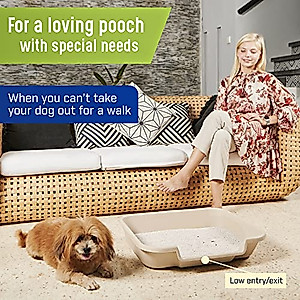 PuppyGoHere Dog Litter Box, Large Size, Misty Gray, Durable & Pet Safe Puppy Litter Box, Indoor Open Top Entry Dog Litter Pan, Comfortable for Dogs, Great for Dogs up to 20 lbs