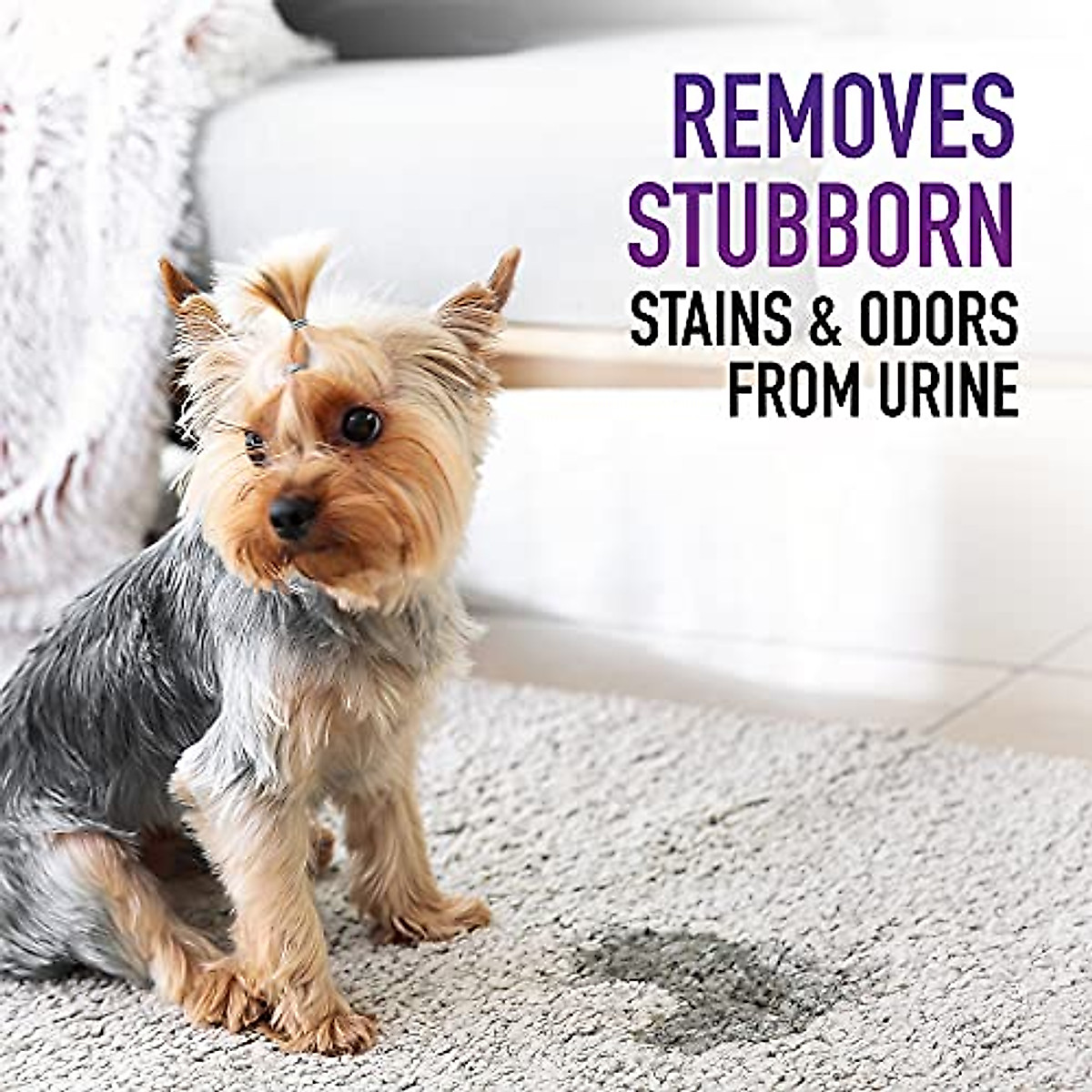 Hoover Paws & Claws Urine Eliminator Spray, 22 oz., 2 Pack, Fresh Scent, Pet Spot and Stain Remover for Carpet & Upholstery, Tackles Tough Pet Messes & Stains, Pair with Hoover Carpet or Spot Cleaner