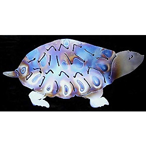 MIABE Metal Wall Supplies for Turtle Tortoise Metal Wall Accent Art Decor for Home Decor