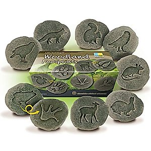 Yellow Door Let’s Investigate Woodland Footprints Double Sided Stones with Animal Tracks and Animal Picture, Create Fun Animal Games with Fossil Set, Stone, Set of 8, Toddler Toys for 3 Years & Up