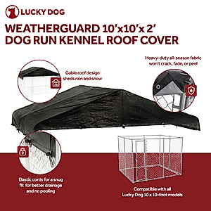 Lucky Dog 10 by 6 Foot Large Outdoor Galvanized Steel Chain Link Dog Kennel with Latching Door, 1.5 Inch Raised Legs, and WeatherGuard Roof Cover