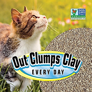 SmartCat All Natural Clumping Cat Litter, 10 Pound (160oz 1 Pack) - Alternative to Clay and Pellet Litter - Chemical and 99% Dust Free - Unscented and Lightweight