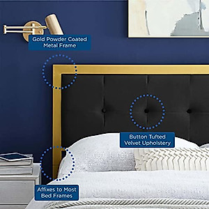Modway Teagan Tufted Performance Velvet King Headboard in Gold Black
