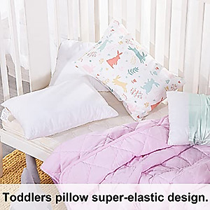 NTBAY 2 Pack Cotton 13" x18" Pillows with Toddler Microfiber Pillowcases, Soft Kids Crib Pillows for Sleeping with Zippered Baby Travel Pillow Cases in Daycare Preschool, Pink