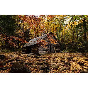 Country Photography Print (Not Framed) Picture of Old Barn Surrounded by Fall Foliage on Autumn Day in Great Smoky Mountains Tennessee Rustic Wall Art Cabin Lodge Decor (8" x 10")